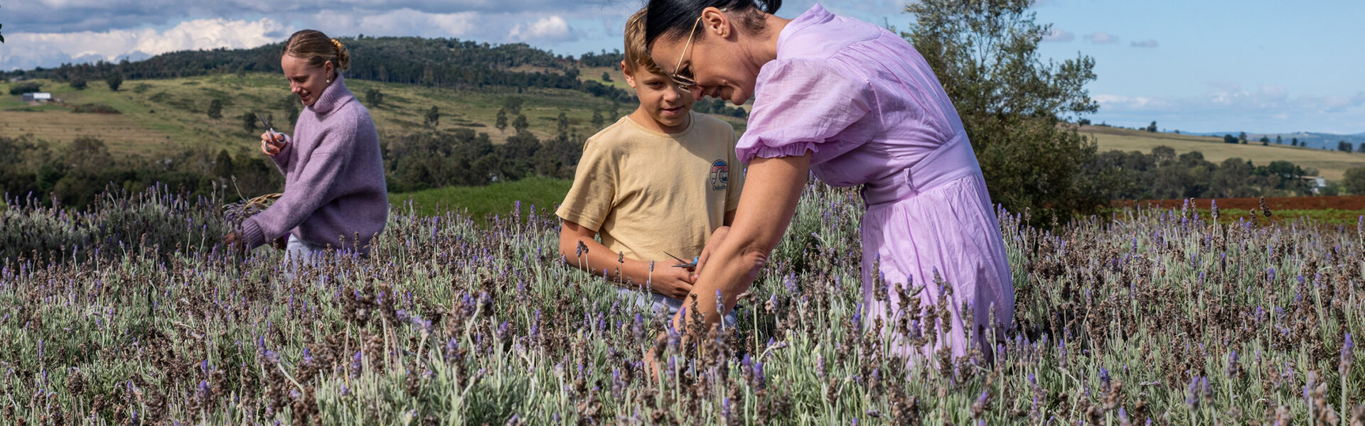 Five Queensland Farms to Visit On Your Next Day Off